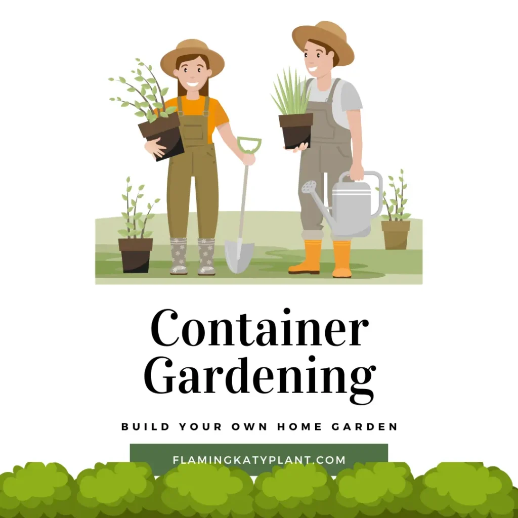 Getting Started with Container Gardening – Flaming Katy Plant Getting Started with Container Gardening – Flaming Katy Plant